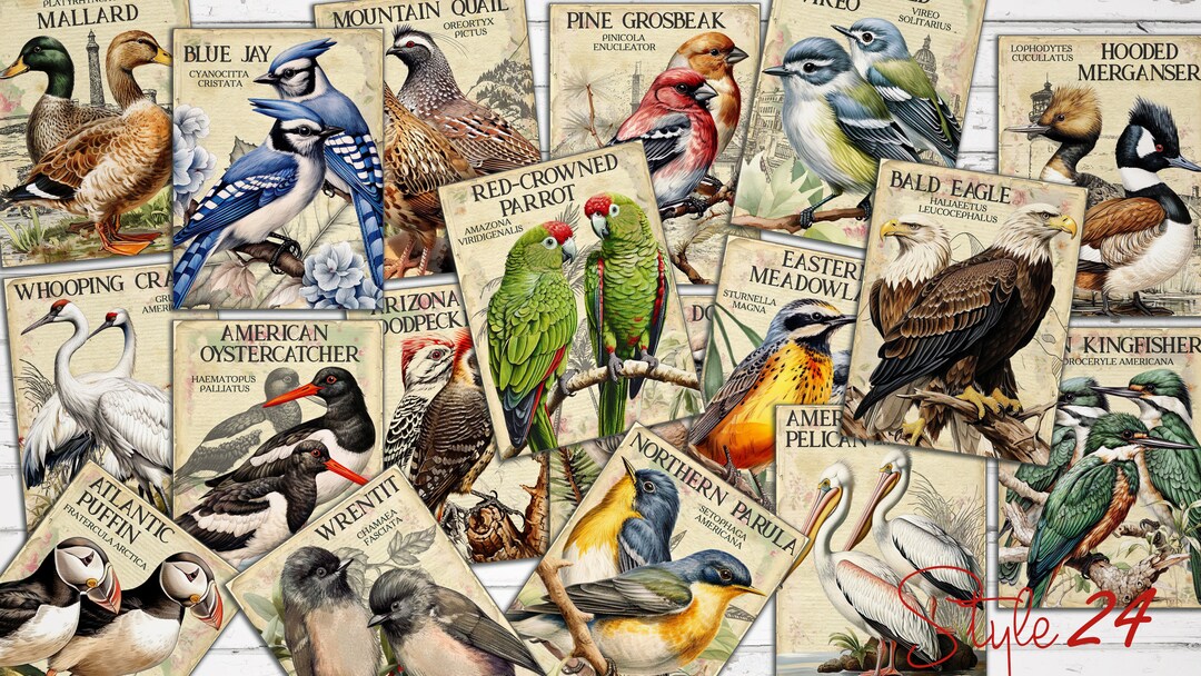 Vintage Birds Index No.2: Printable Ephemera Cards (digital Download ...