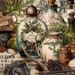 Resinous Essential Oils Guide No.1: Aromatherapy Printable Pages ...