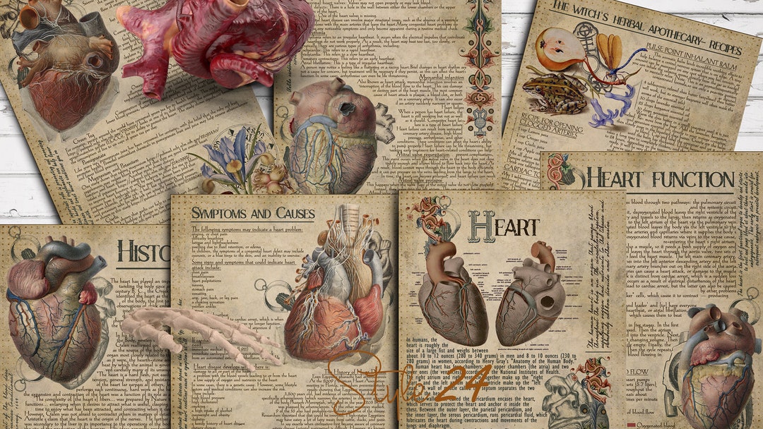 Human Heart Anatomy Printable, Book of Shadows Pages (digital Download ...