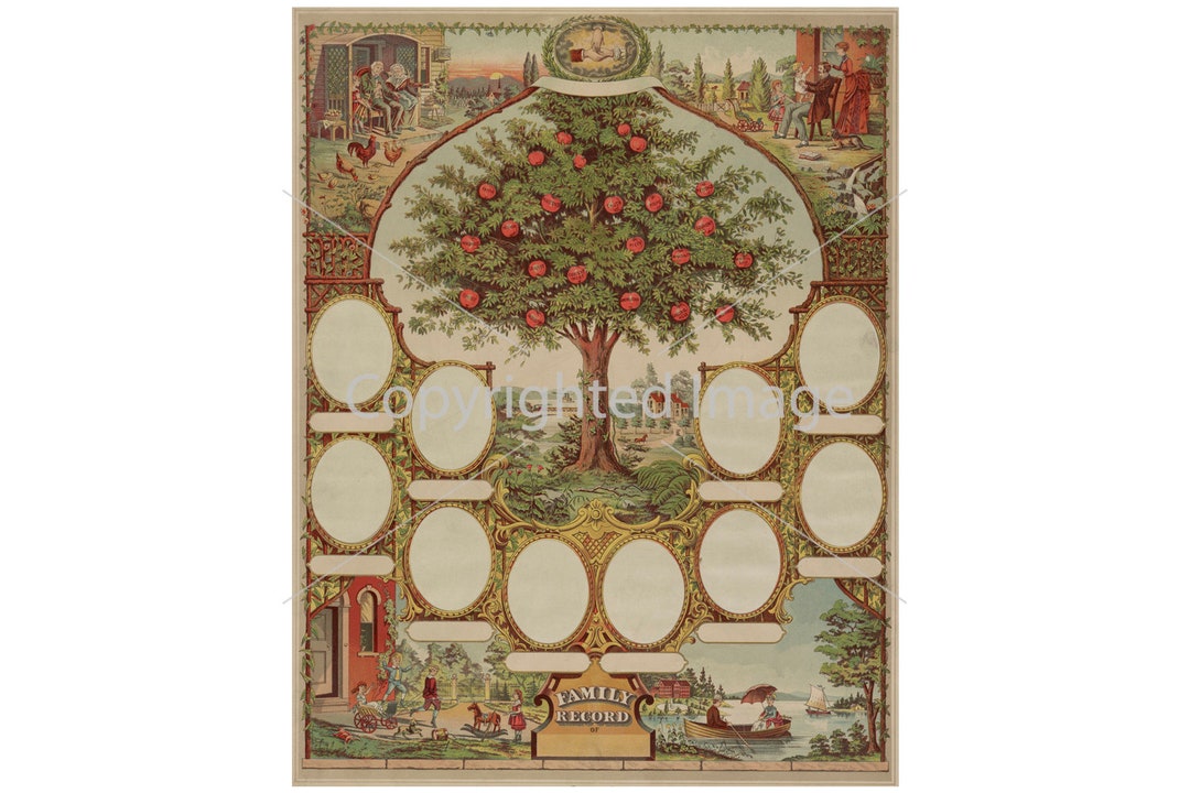Vintage Family Record Picture Family Tree Diy Genealogy Heritage ...