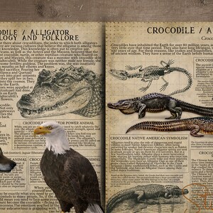 Animal Symbology Print #7, Spirit Animal Guide, Mythology Folklore ...