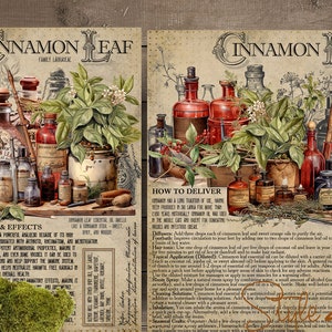 Spicy Essential Oils No.2 Printable: Book of Shadows, Aromatherapy ...