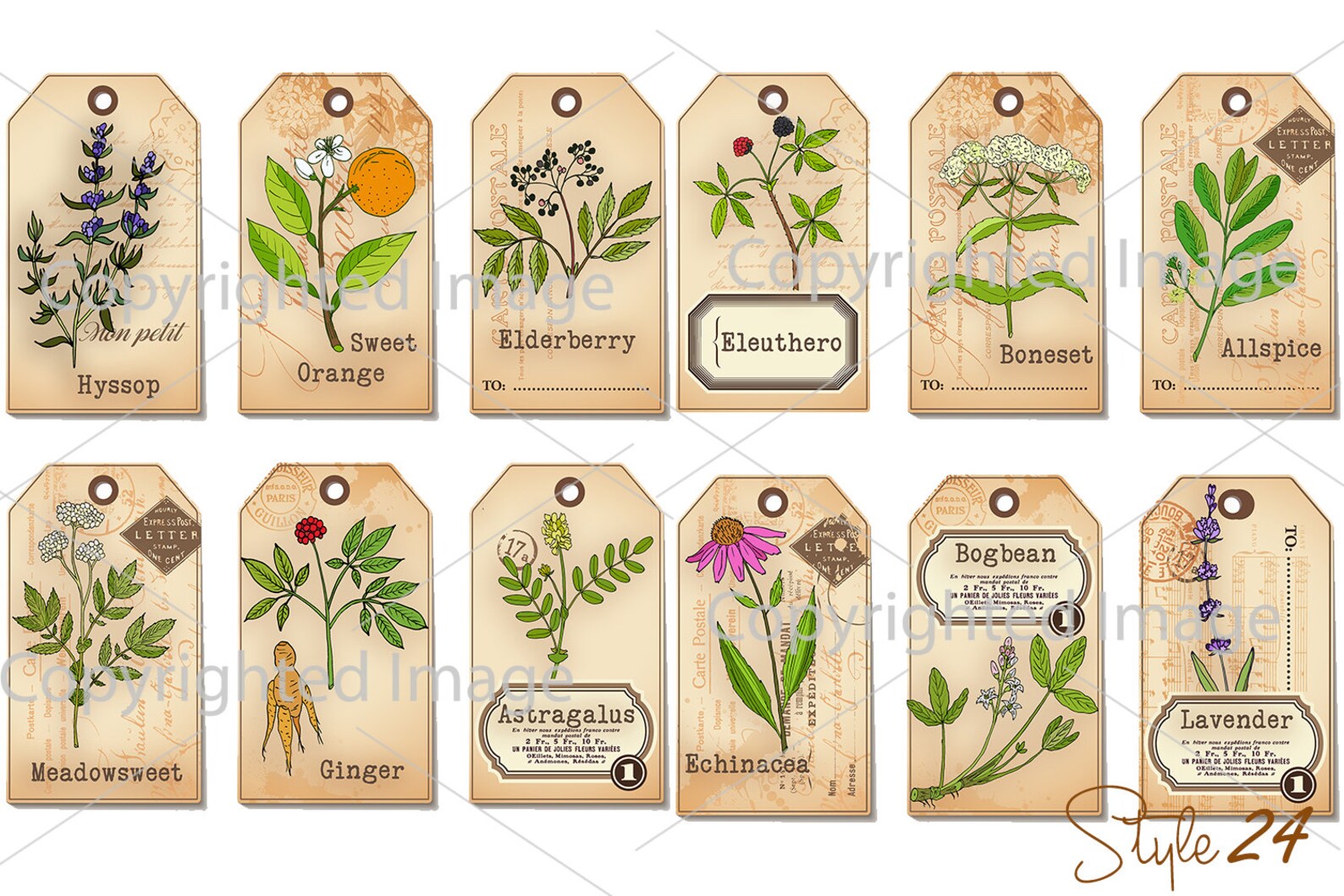 Medicinal Herbal Apothecary Labels with Info-graphic printable | Etsy