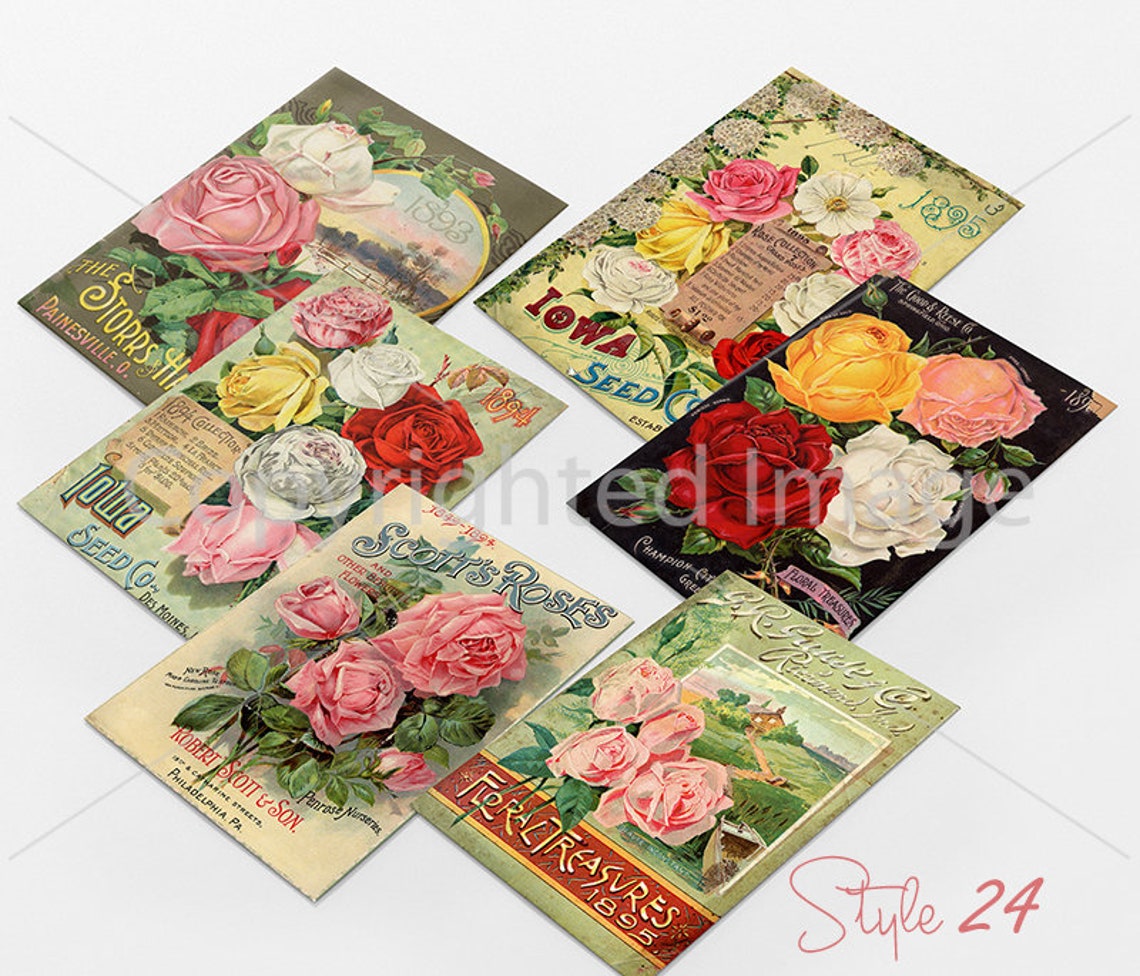 6 Different Antique Garden Roses Seed Packets DIGITAL Sheet | Etsy