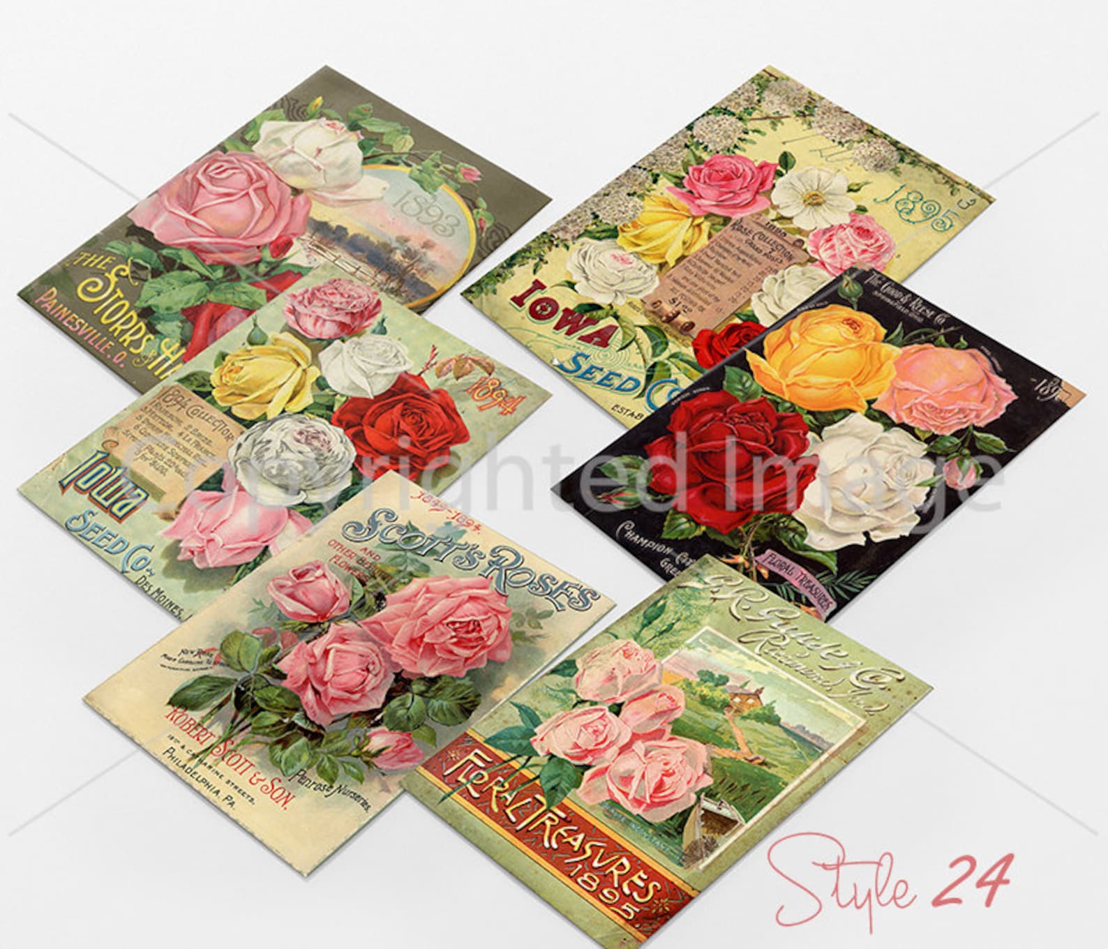 6 Different Antique Garden Roses Seed Packets DIGITAL Sheet | Etsy