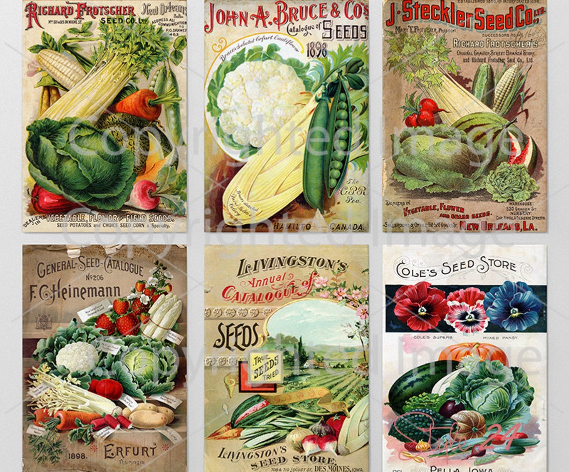 6 Different Antique Garden Vegetables Seed Packets, DIGITAL Sheet ...