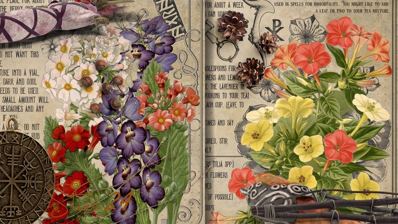 Printable Healing Spells Pages Book of Shadows Digital - Etsy