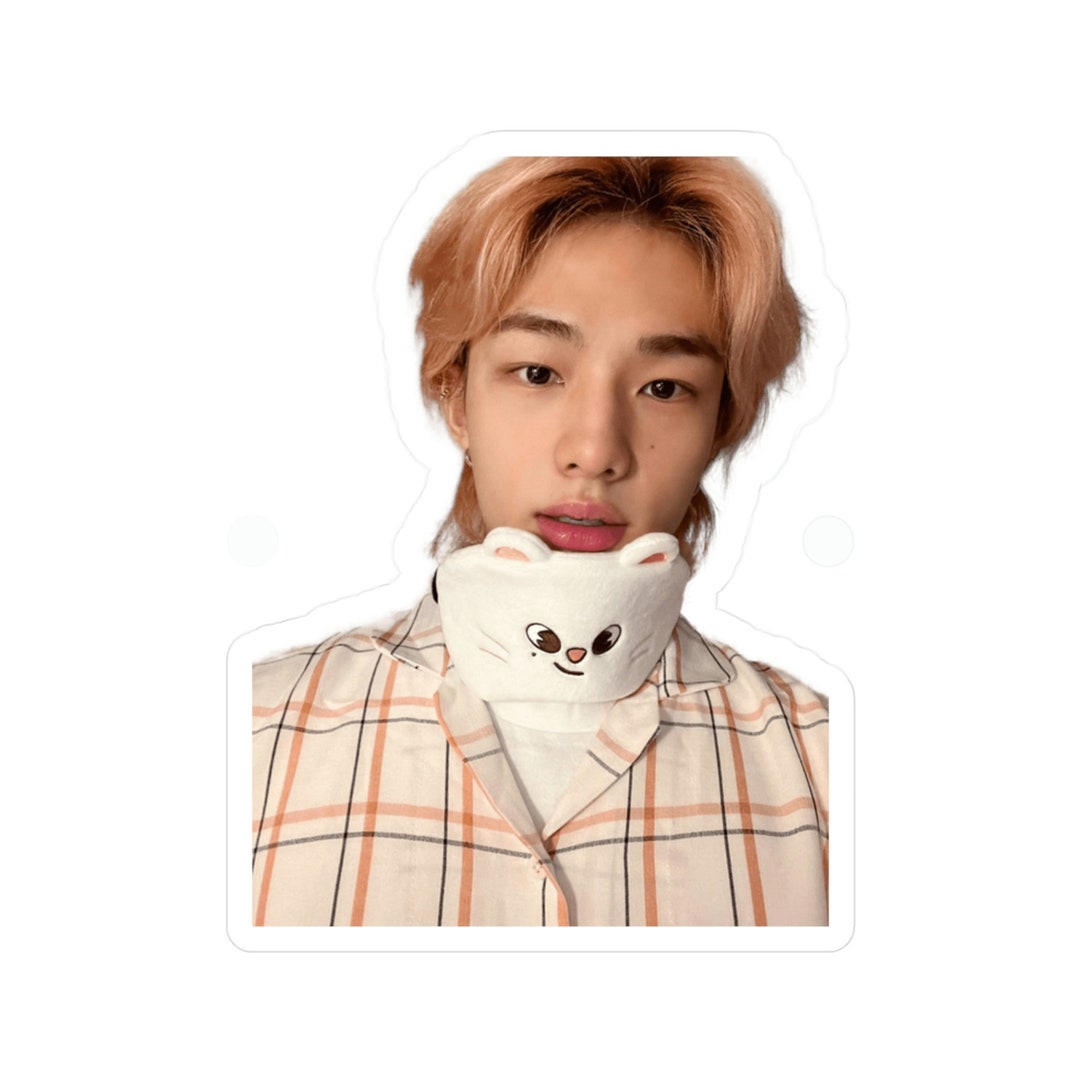 Stray Kids Hyunjin Sticker - Etsy