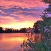 Gorgeous Sunset, Reflection, Lake, Wildflowers, Upstate New York ...