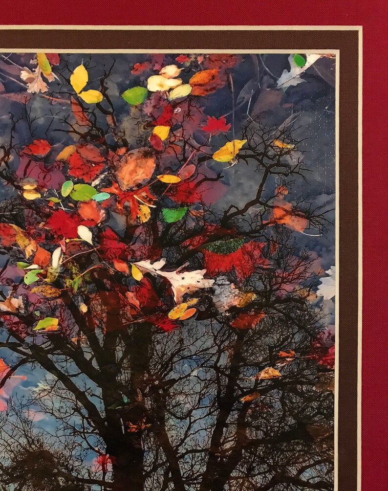 Lingering Autumn, Unique Nature Photography, Colorful Fall Image ...