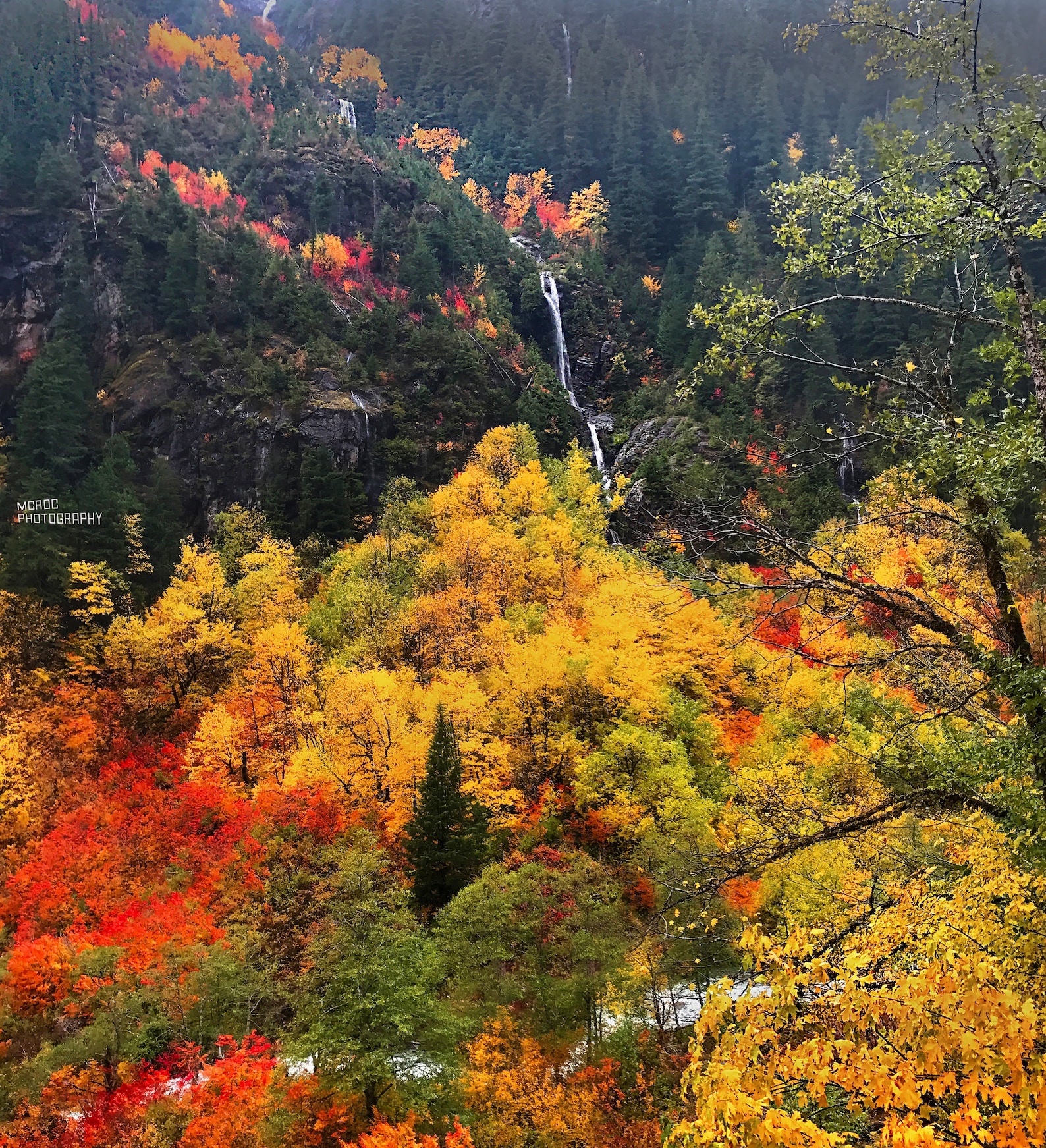 Red Yellow Orange Autumn Leaves, Mountain Waterfall, River, Valley ...