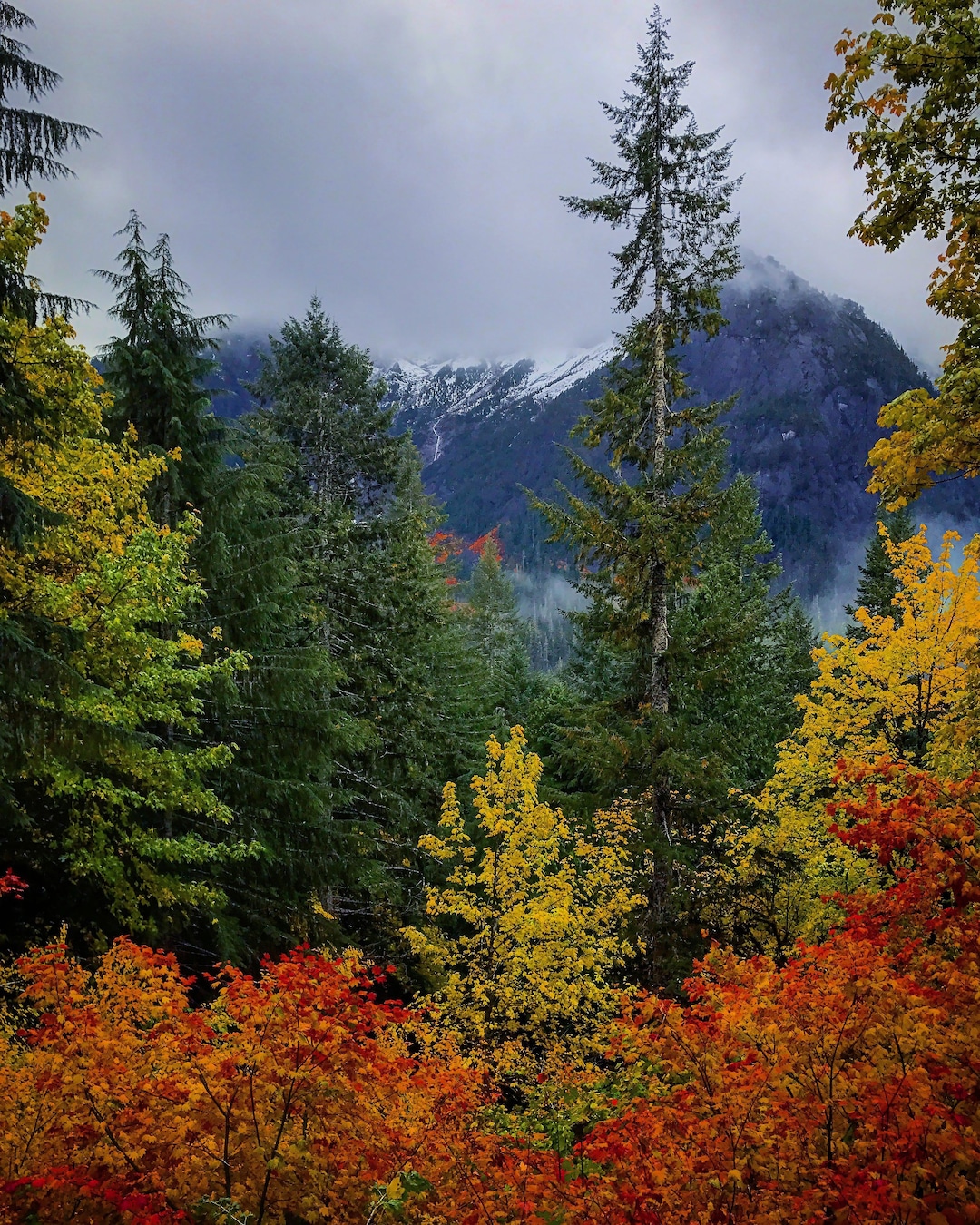 Vibrant Fall Colors, Snow Capped Mountain Fine Art Photography ...