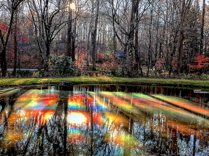 Trees Reflected, Rainbow Colors, Water Reflecting Trees, Fall Scenery ...