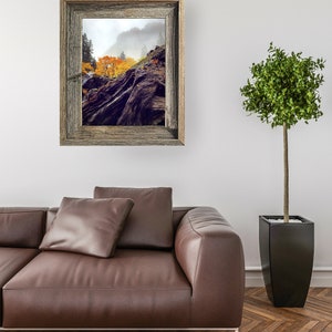 Closeup Twisted Root, Mountain Landscape, Trees, Washington Autumn ...