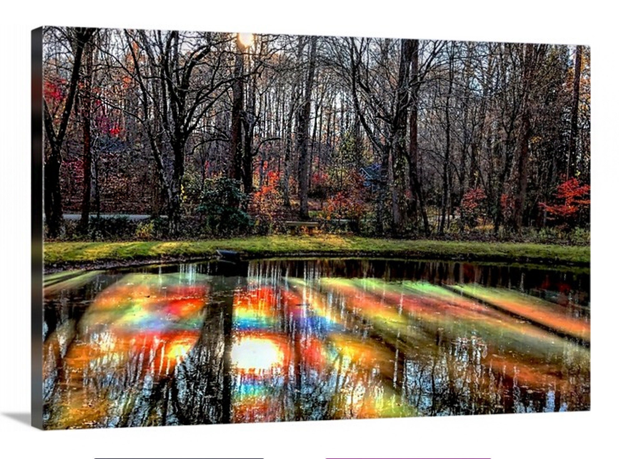 Trees Reflected, Rainbow Colors, Water Reflecting Trees, Fall Scenery ...