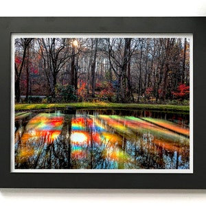 Trees Reflected, Rainbow Colors, Water Reflecting Trees, Fall Scenery ...