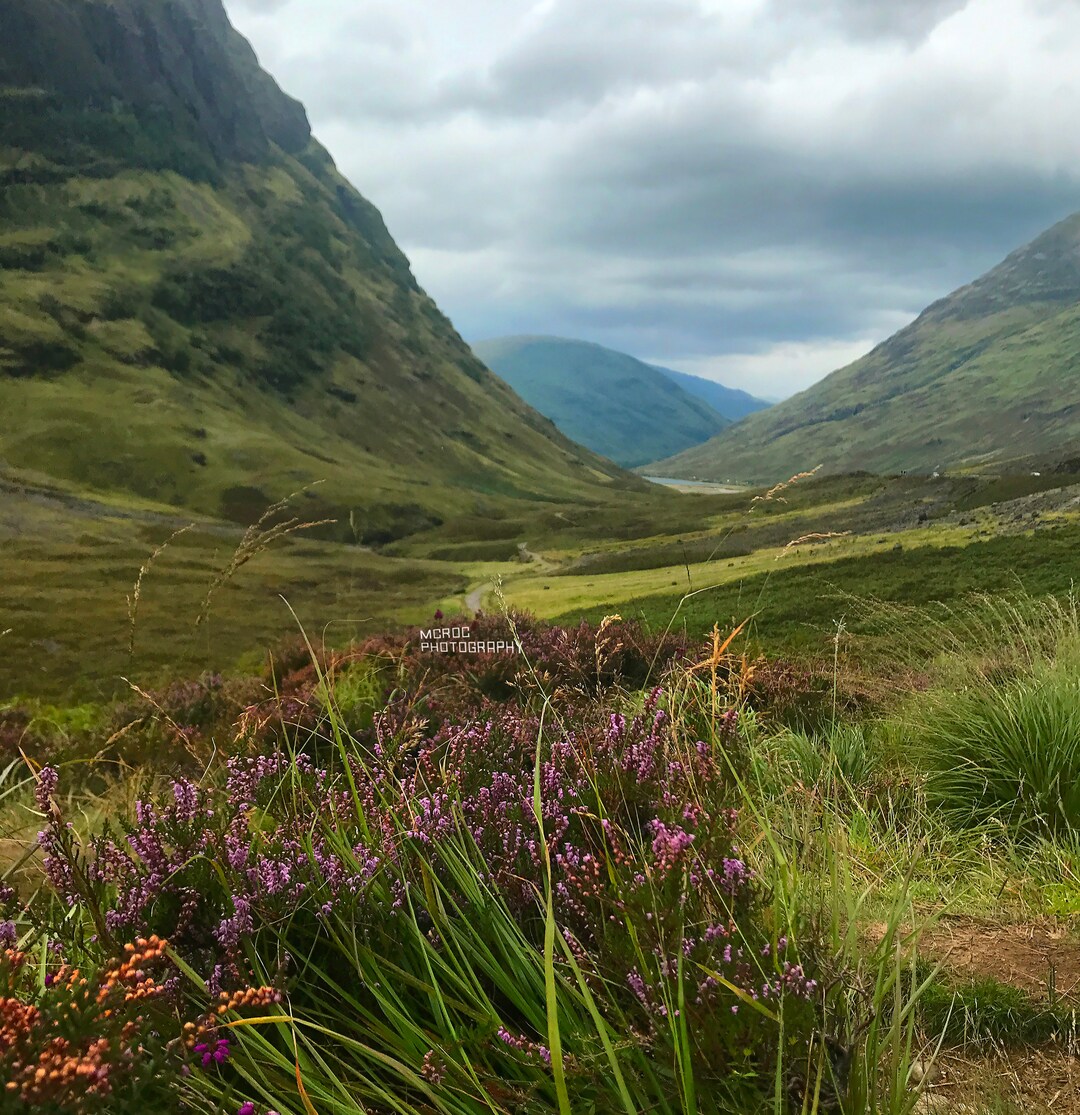 Valley of Wildflowers, Green Mountains, Scottish Highlands, Fine Art ...