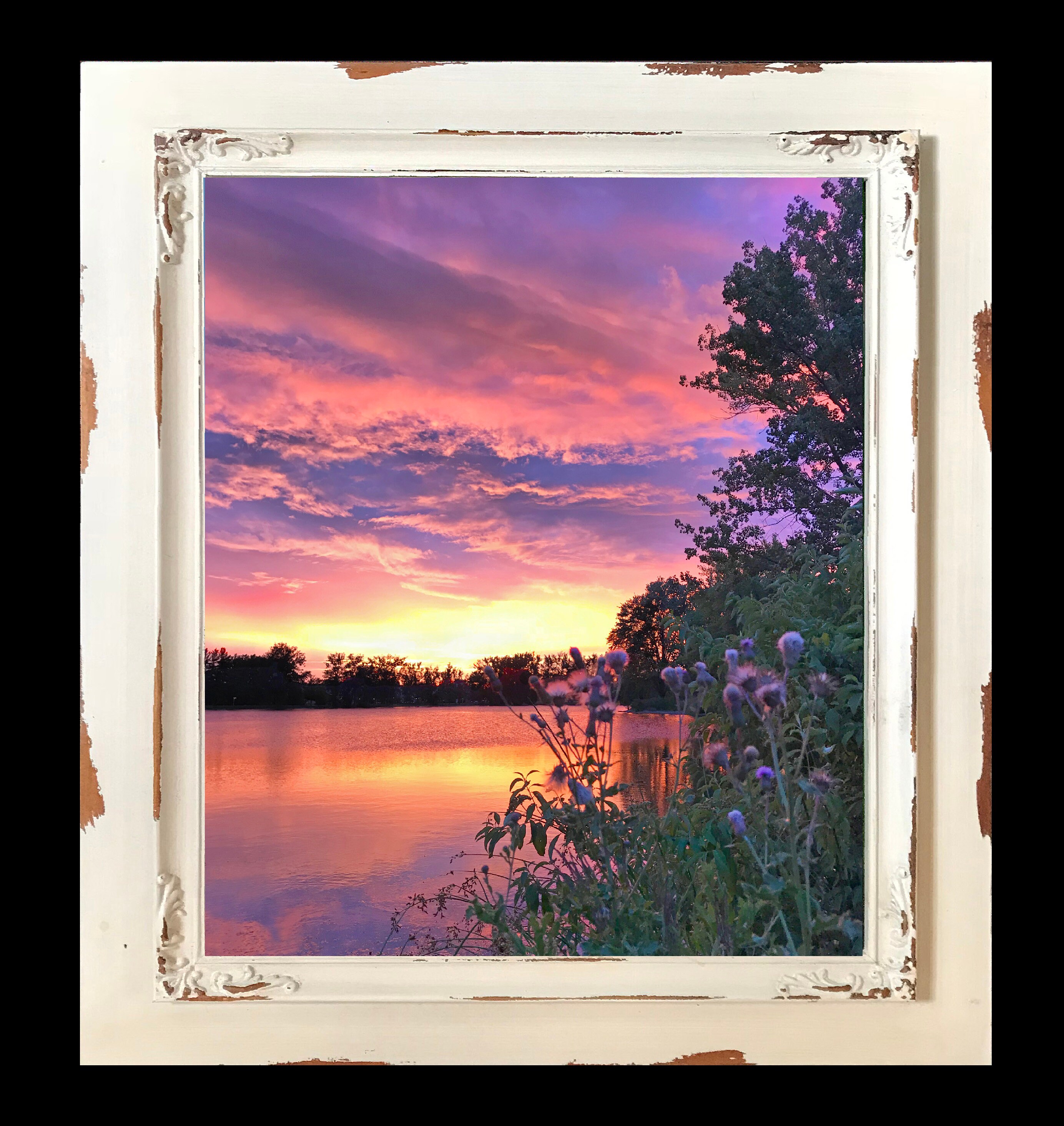 Gorgeous Sunset, Reflection, Lake, Wildflowers, Upstate New York ...