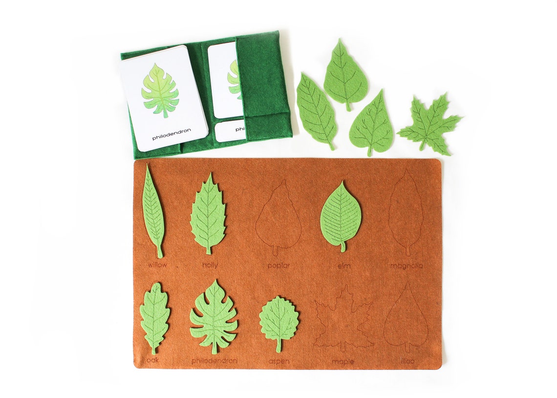 types-of-leaves-activity-board-with-3-part-cards-montessori-etsy
