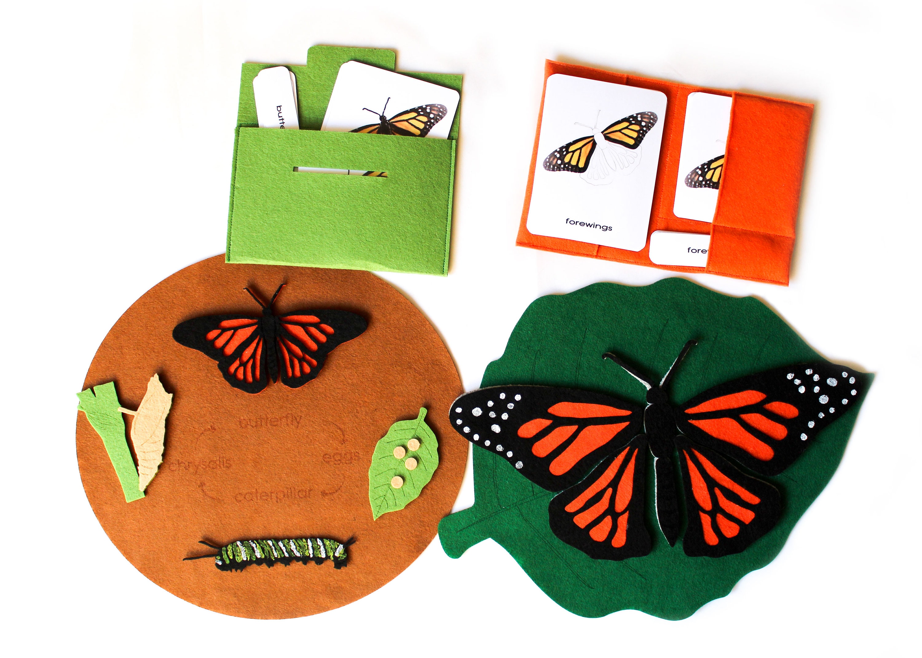 Butterfly Body Parts For Sale at Kelly Mcneill blog