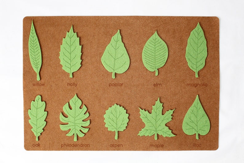 Types of leaves activity board with 3-part cards Montessori | Etsy