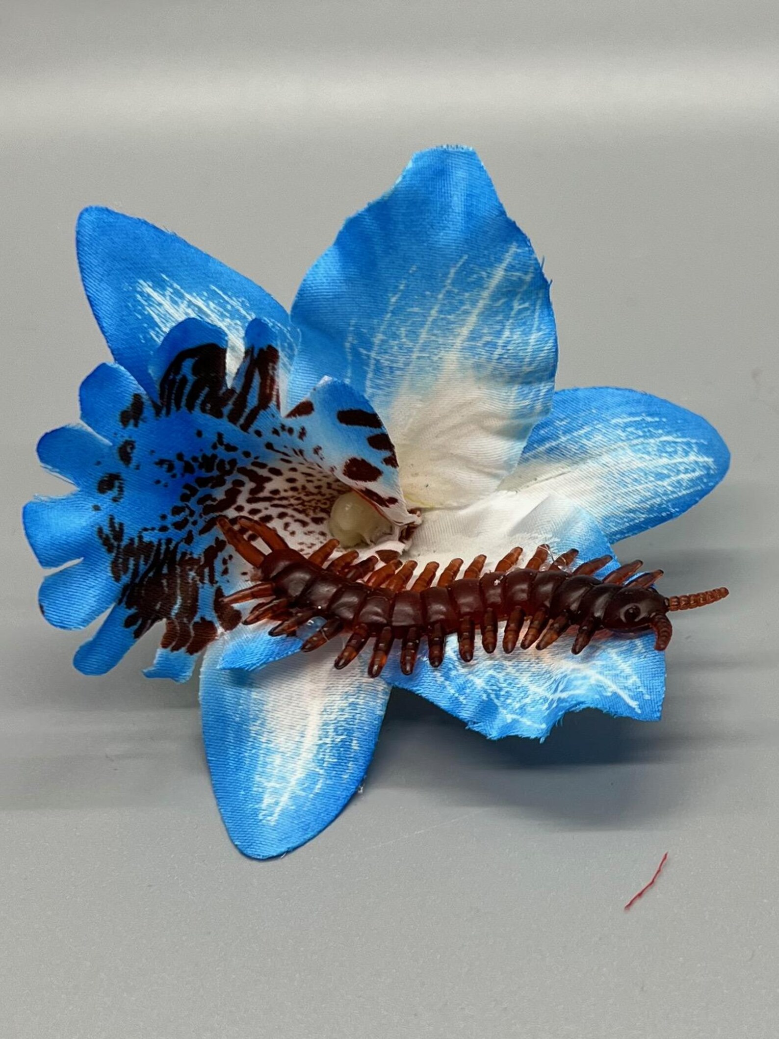 Blue Hair Flower With Centipede - Etsy
