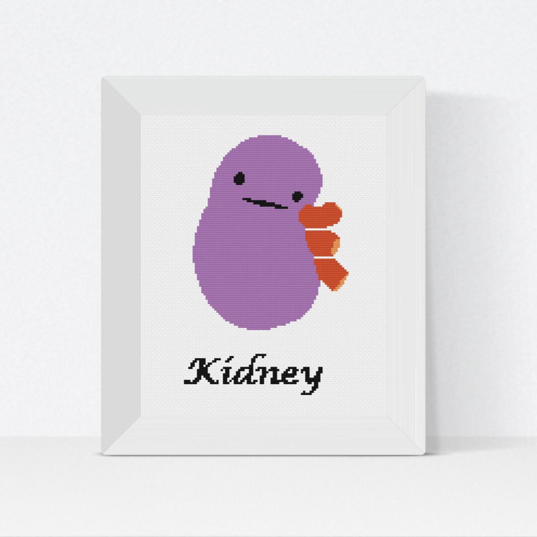 Kidney Anatomy Cross Stitch Pattern – Medical Embroidery (PDF Pattern ...