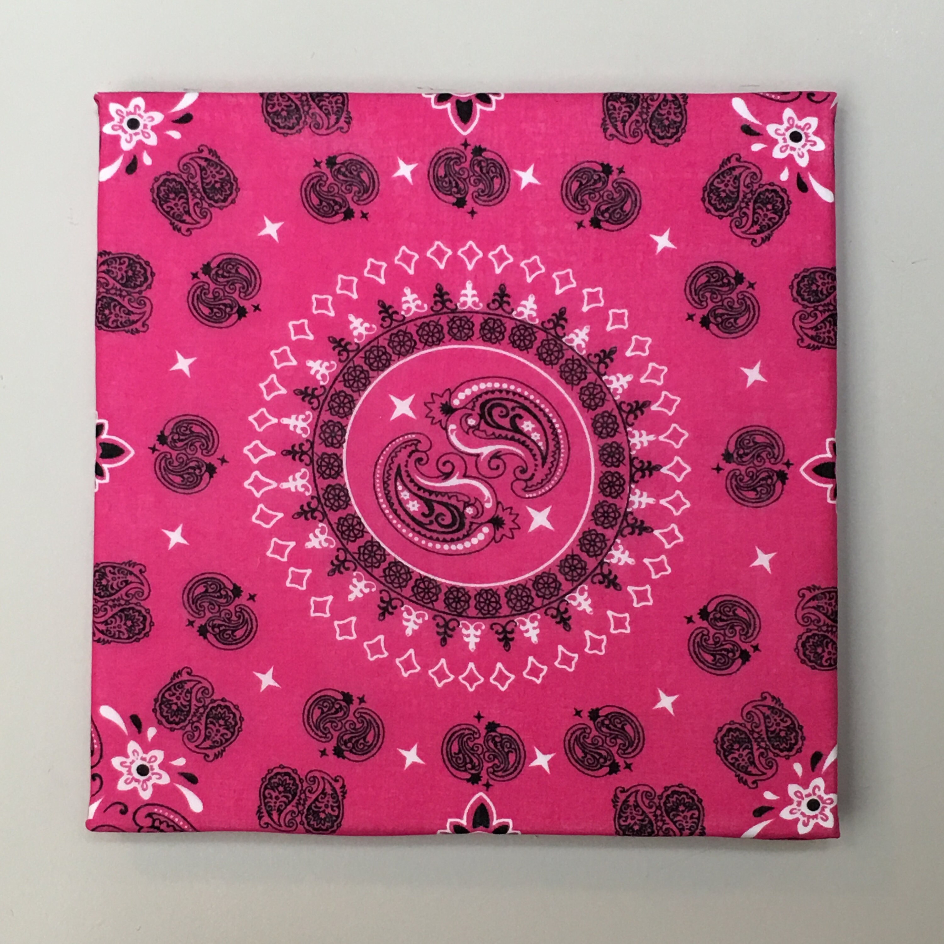 Fabric Pin Board Photo And Memo Wall Organizer Functional Art Home Or