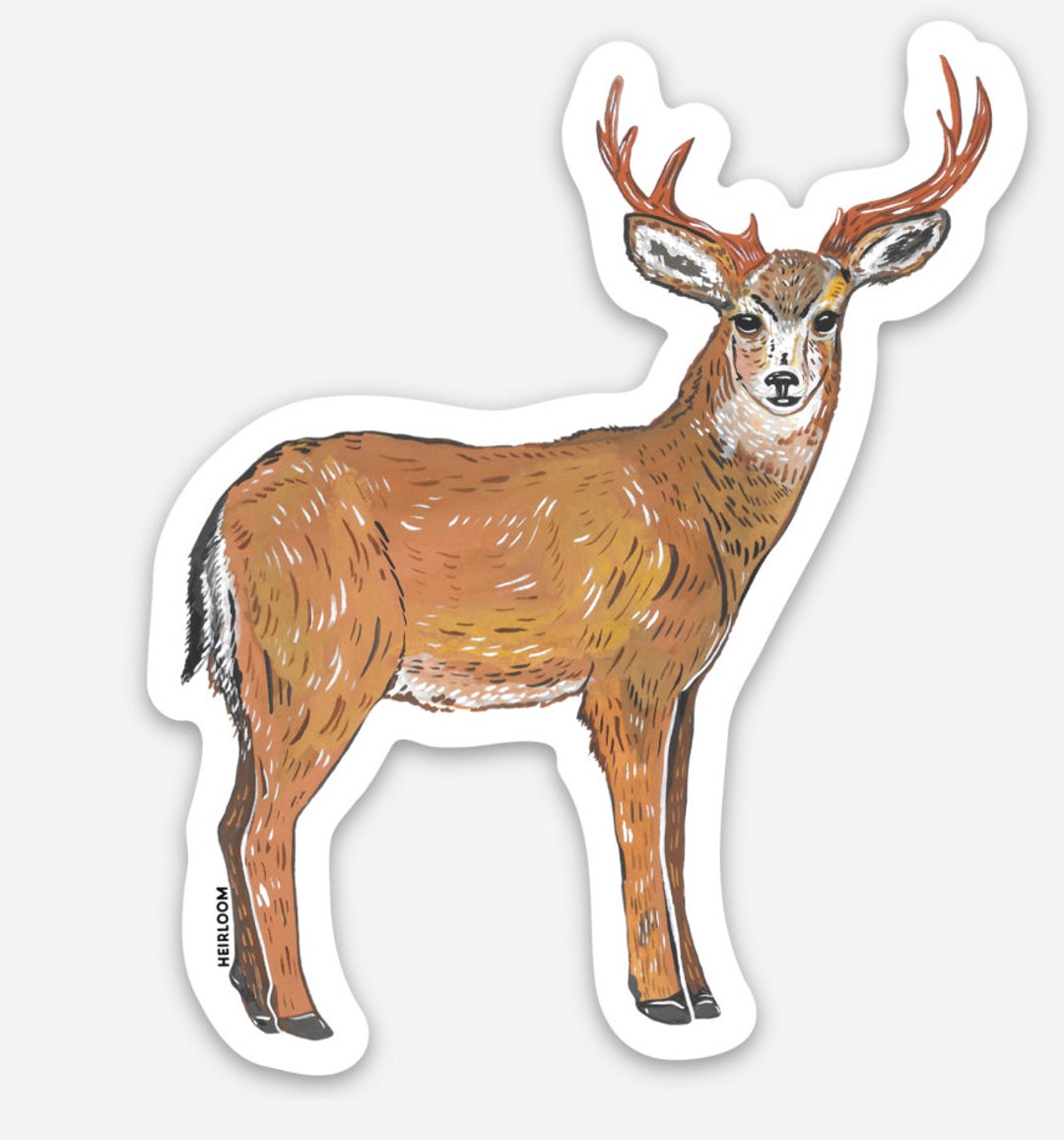 Buck Deer Sticker Vinyl Decal Weatherproof Waterproof Fade - Etsy