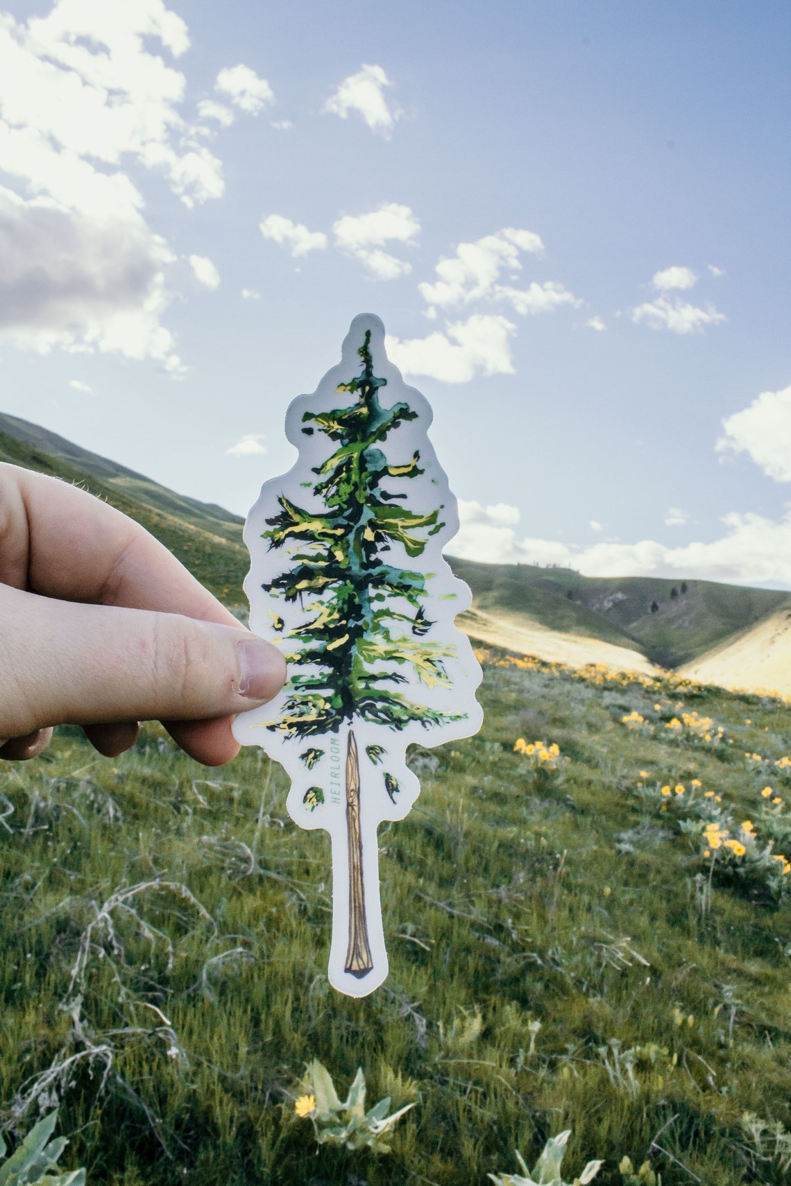 Sugar Pine Sticker 6. Pine Tree Decal. Camping. Colorful | Etsy