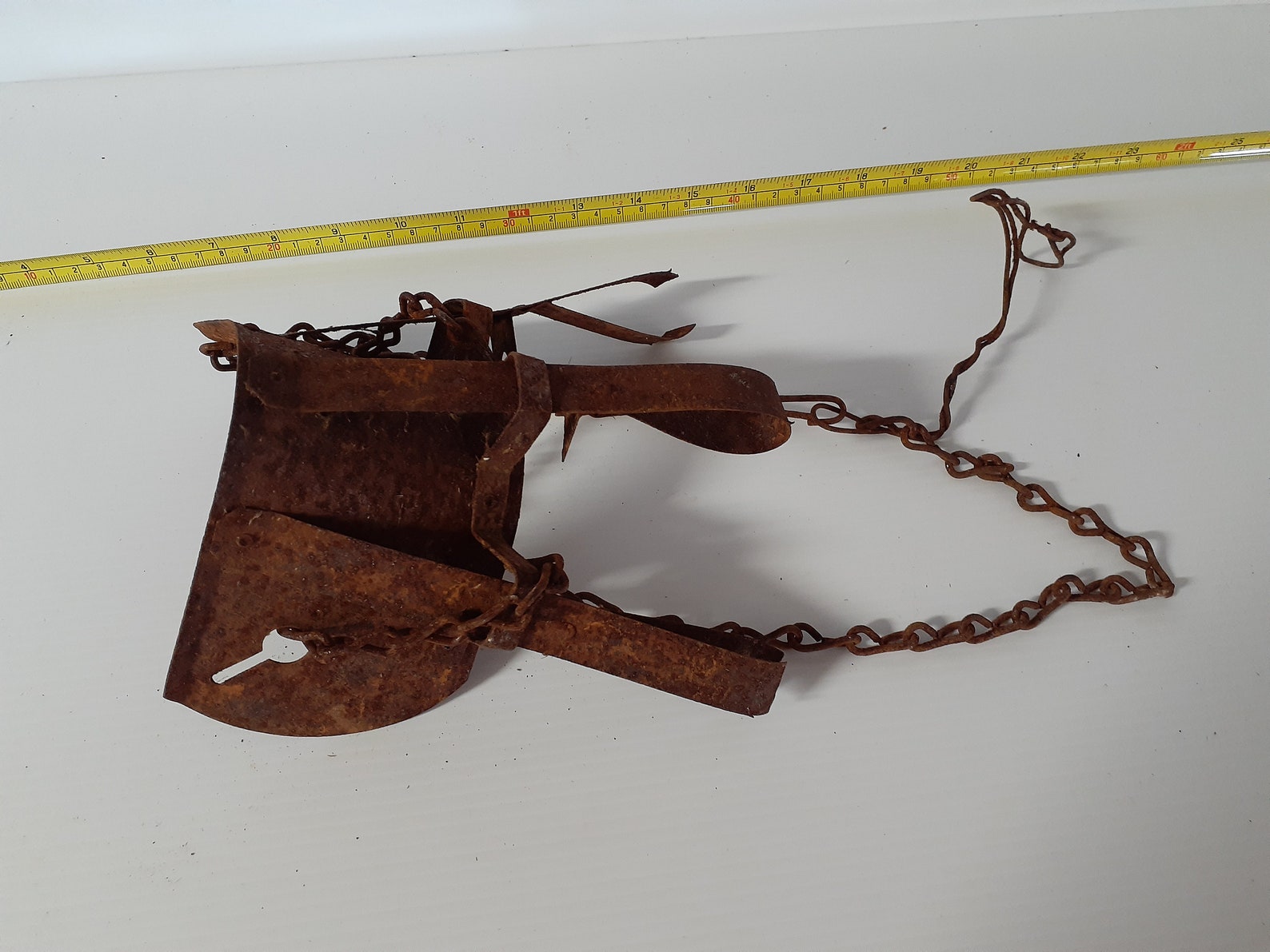 Vintage Antique Calf Weaner - Etsy