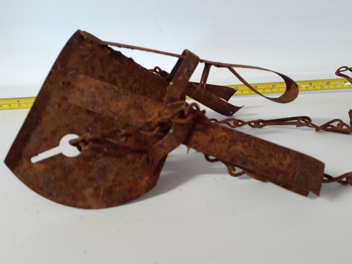 Vintage Antique Calf Weaner - Etsy