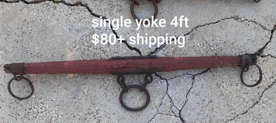 Single Oxen Yolk From the 1800s - Etsy
