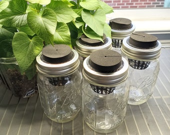 Hydroponic Kratky Starter Kit With Amber Mason Jar - Etsy