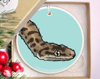 Enclosure Name Plate Ceramic White's / Dumpy Tree Frog - Etsy