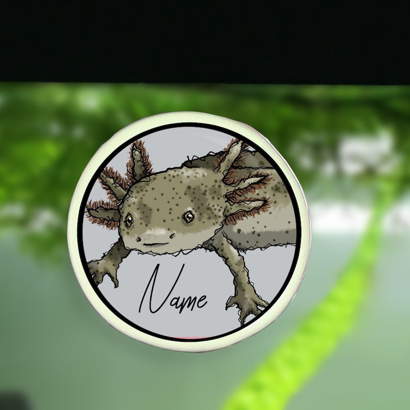 Axolotl Sticker Name - Etsy