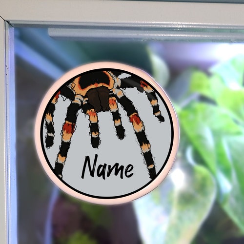 Enclosure Name Plate Ceramic Mexican Red Knee Tarantula - Etsy