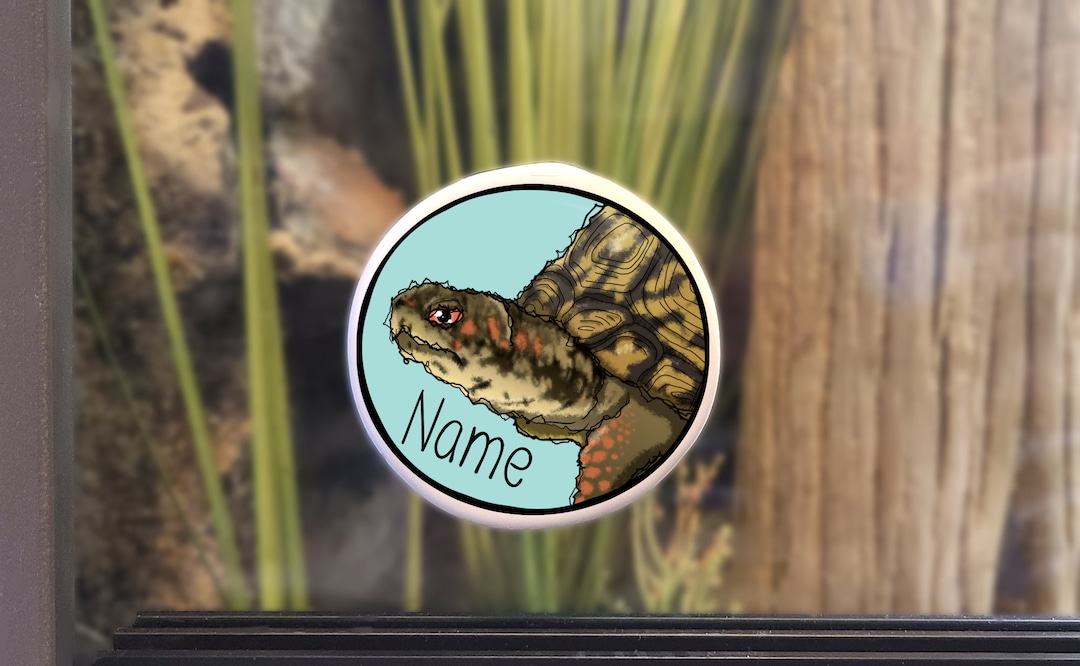 Enclosure Name Plate Ceramic - Eastern Box Turtle - Etsy