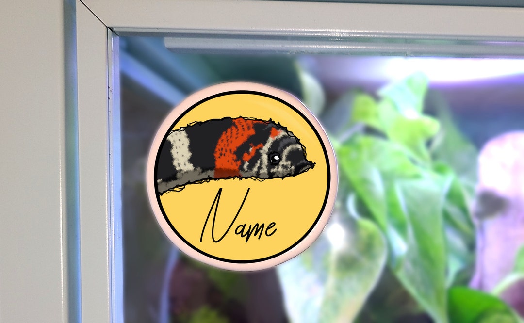 Enclosure Name Plate Ceramic - Tricolor Hognose - Etsy