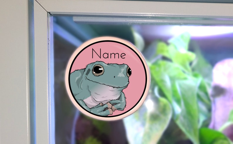 Enclosure Name Plate Ceramic White's / Dumpy Tree Frog - Etsy