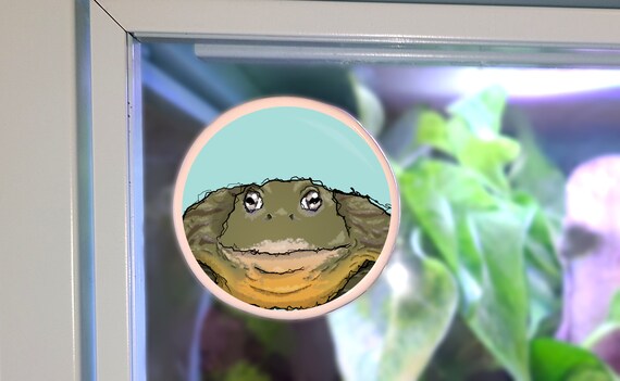 Enclosure Name Plate Ceramic African Bullfrog / Pixie Frog | Etsy