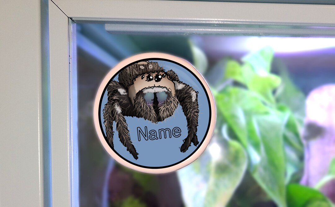 Enclosure Name Plate Ceramic - Regal Jumping Spider - Etsy