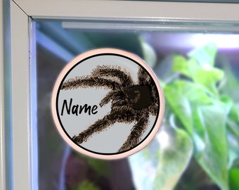 Tarantula Name Plate - Etsy