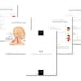 Printable Clinical Reference Binder for Dental Hygienists + Free Gift ...