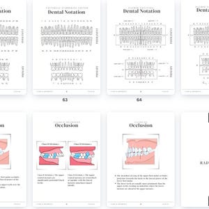 Printable Clinical Reference Binder for Dental Hygienists + Free Gift ...