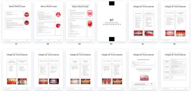 Printable Clinical Reference Binder for Dental Hygienists + Free Gift ...