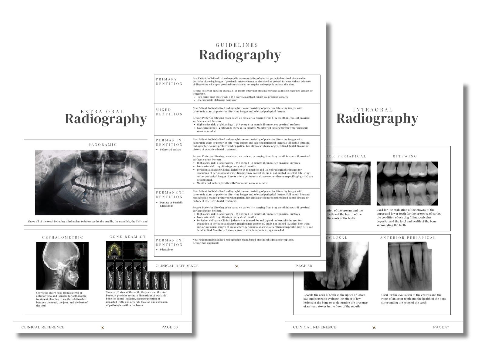 Printable Clinical Reference Binder for Dental Hygienists + Free Gift ...