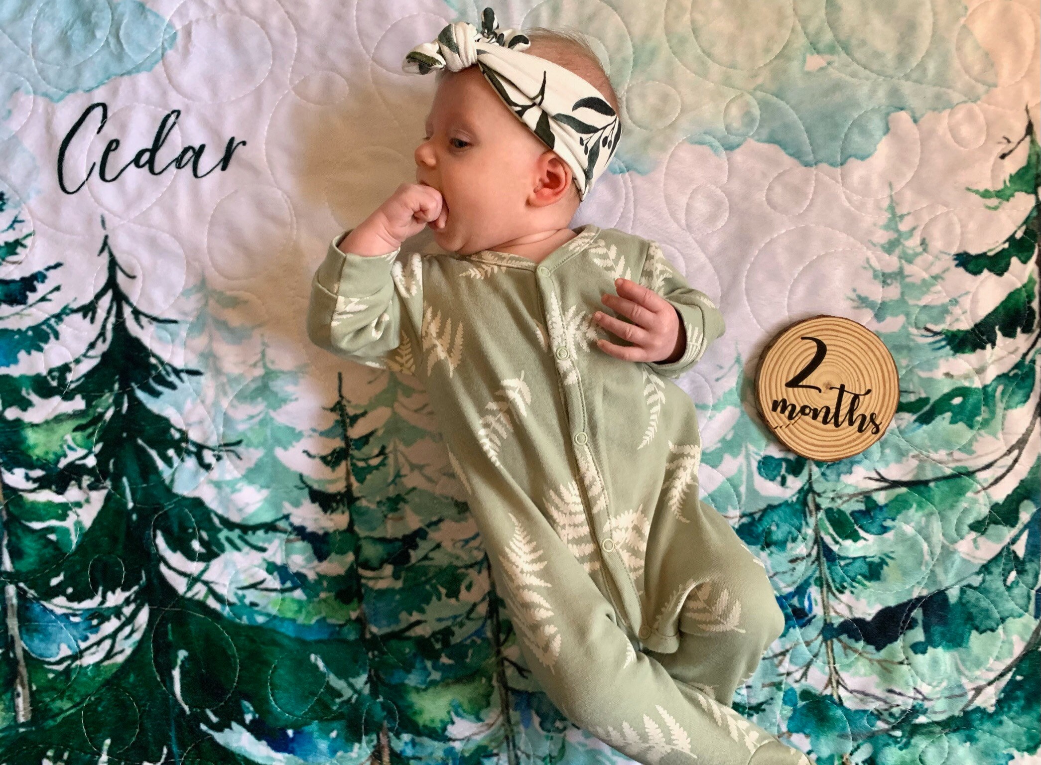 Baby Month Milestone Wood Slices: Photo Prop Set - Etsy