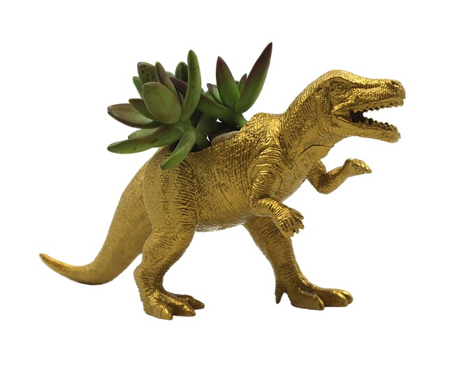 Gold T-rex Dinosaur Succulent Planter, Short Arm Dinosaur Planter, Gift ...