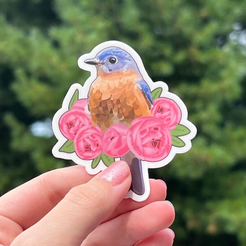 Bluebird Animal Bird Cute Vinyl Sticker Scrapbook Decor Large - Etsy
